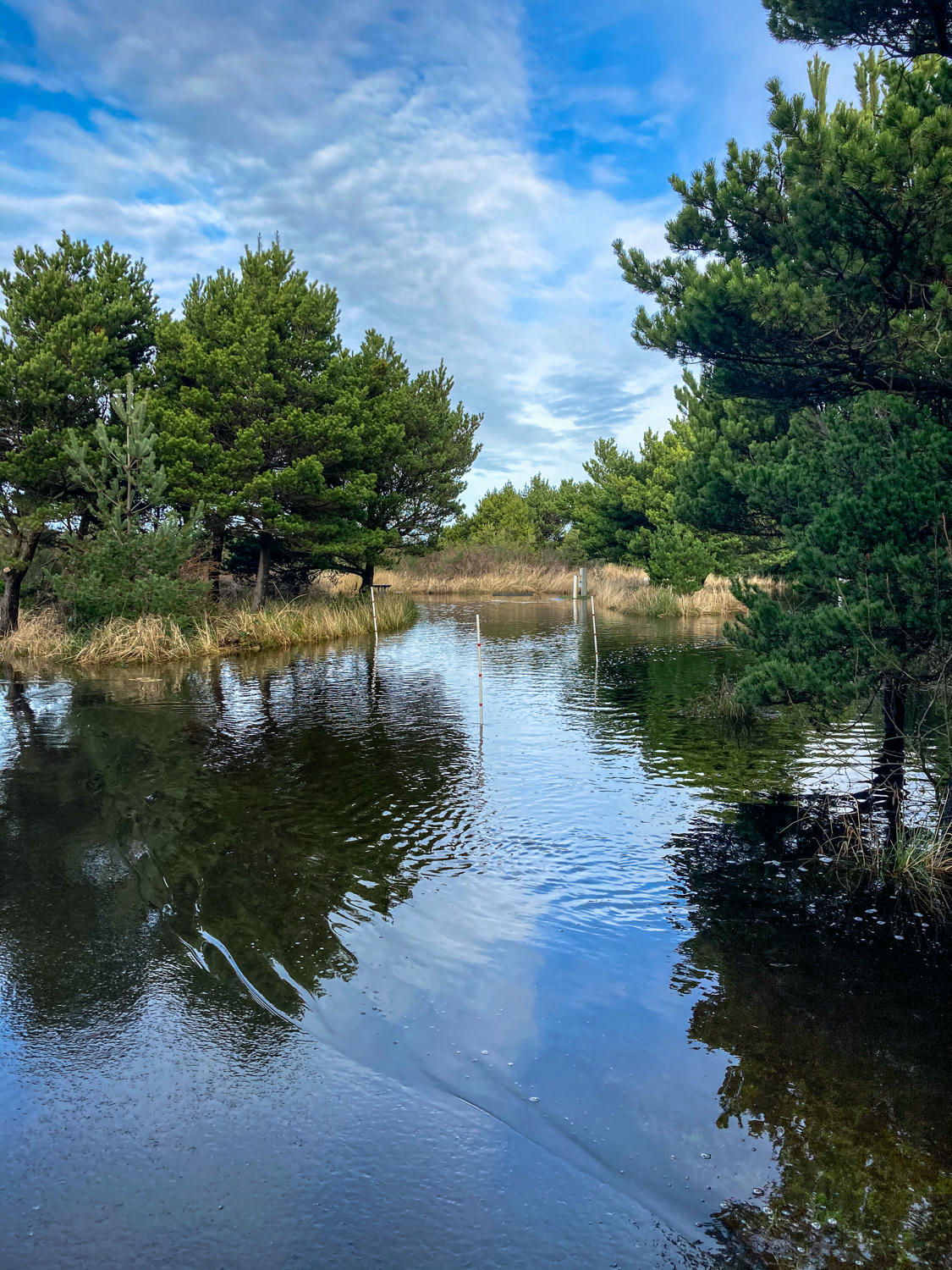 Grayland Beach